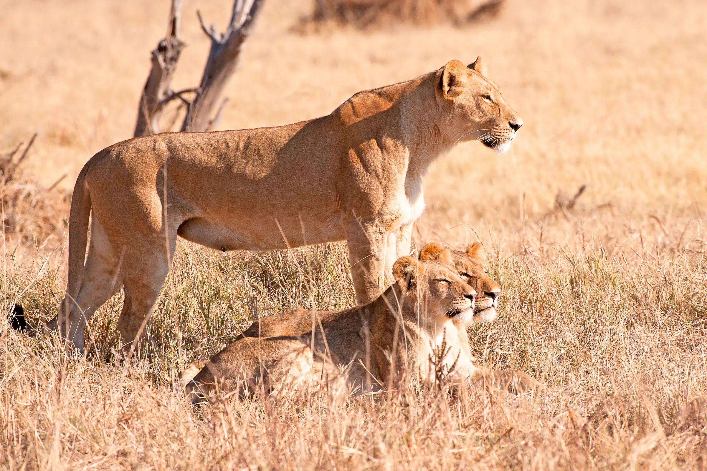 Top 20 Cruise Deals 2025 | Best Discounted Cruises – Low Cost Cruises